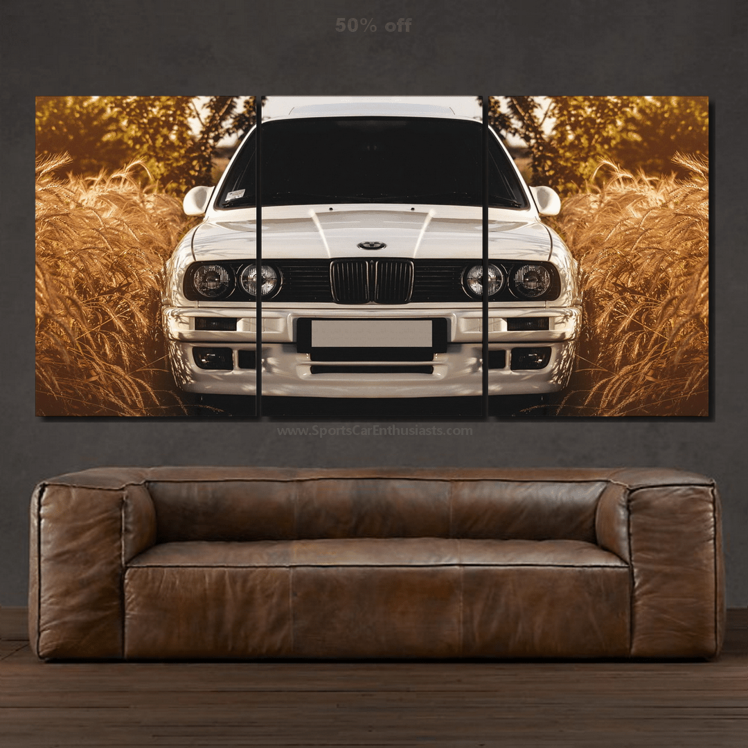 BMW E30 Canvas 3/5pcs FREE Shipping Worldwide!! | Sports Car Enthusiasts
